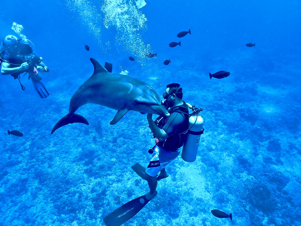 Tiputa pass ! | Val's Travel Blog