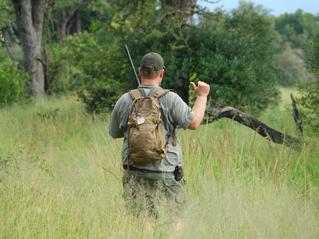 Take a walk on the wild side | Val's Travel Blog