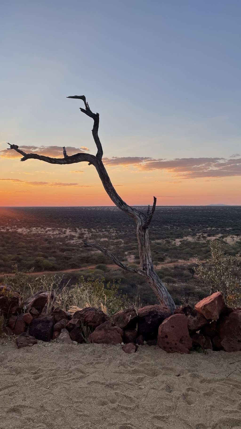 Leopard tracking | Val's Travel Blog